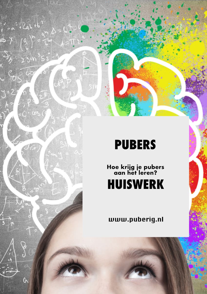 Hoe krijg je een puber aan het leren? - Puberig.